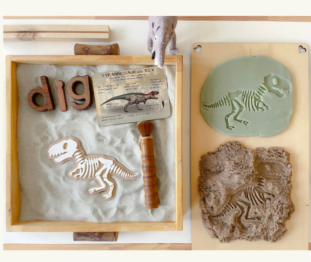 Prehistoric Fossils for Sensory Play – Little Explorer Eco Toys
